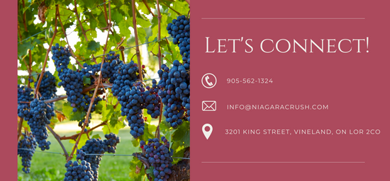 Contact – Niagara Custom Crush Studio